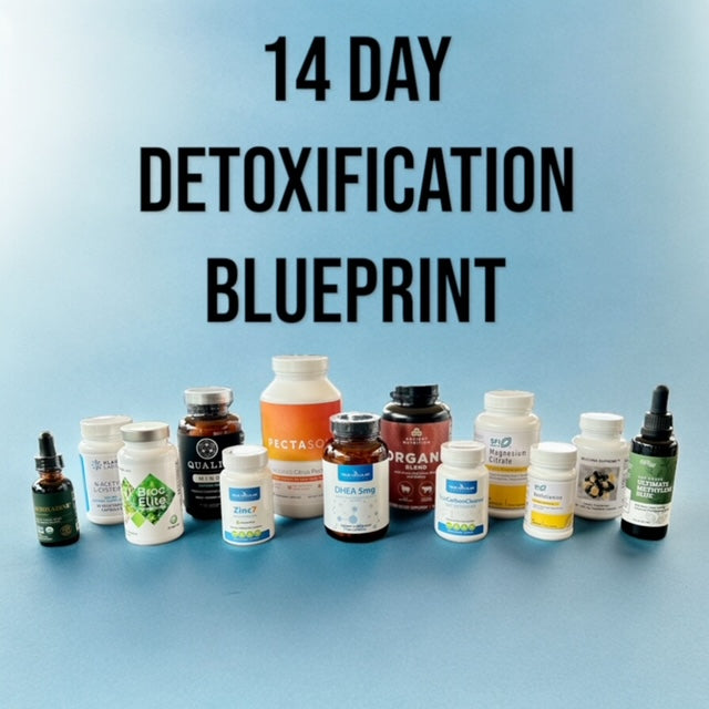 14 Day Detoxification Blueprint Bundle – The Detox Dudes
