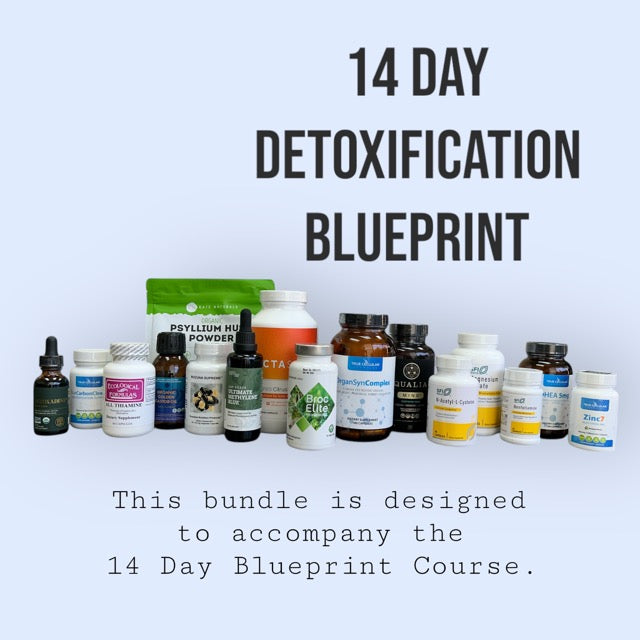14 Day Detoxification Blueprint Bundle – The Detox Dudes